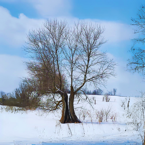 Cocktail Supplies - Workshops - Wine & Spirit Boutique – Split Tree ...